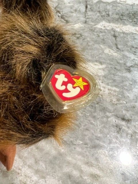 TY BEAK The Kiwi Beanie Buddy Retired 1998 Vintage | eBay