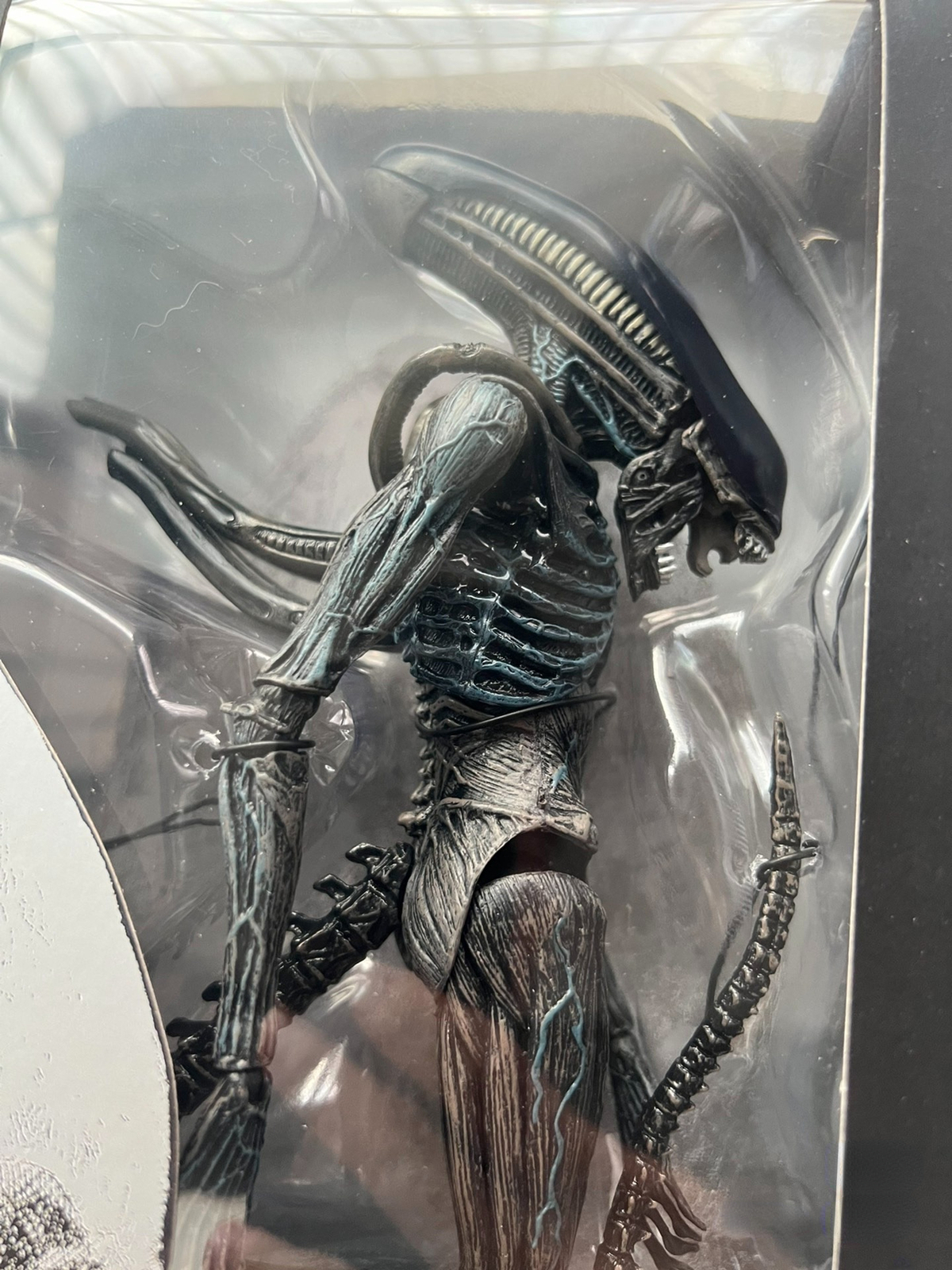 NECA 7" Alien / Aliens Covenant Xenomorph Warrior Action Figure1:12 ...