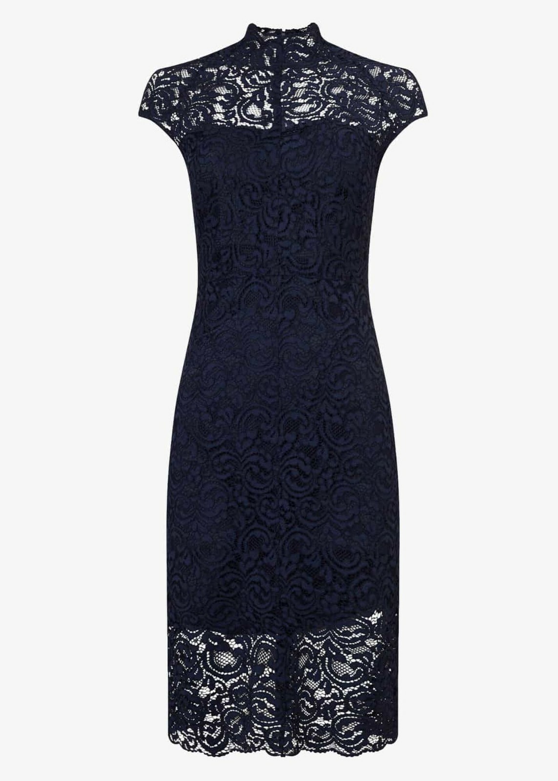 Phase Eight Black Navy Becky Lace Midi Dress Size UK 8 to 14 | eBay UK
