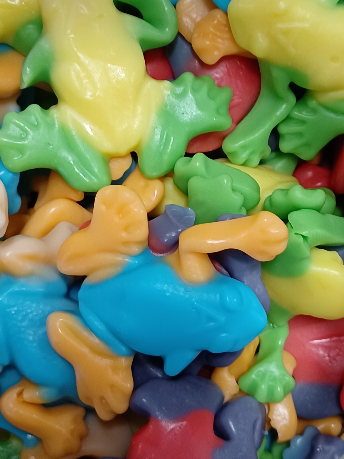 Albanese Rainforest Frogs Gummy Gummies Candy Candies 2 Pounds Free ...