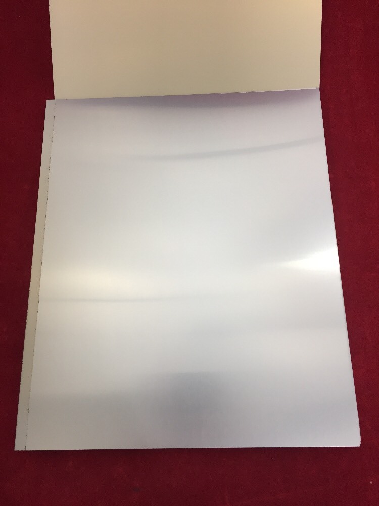 PACK OF 15 SHEETS METALPHOTO PGI 03341 Satin Silver Photographic Plates ...