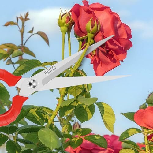 Extra Long Pruning Shears, Gardening Hand Pruners with Stainless Steel ...