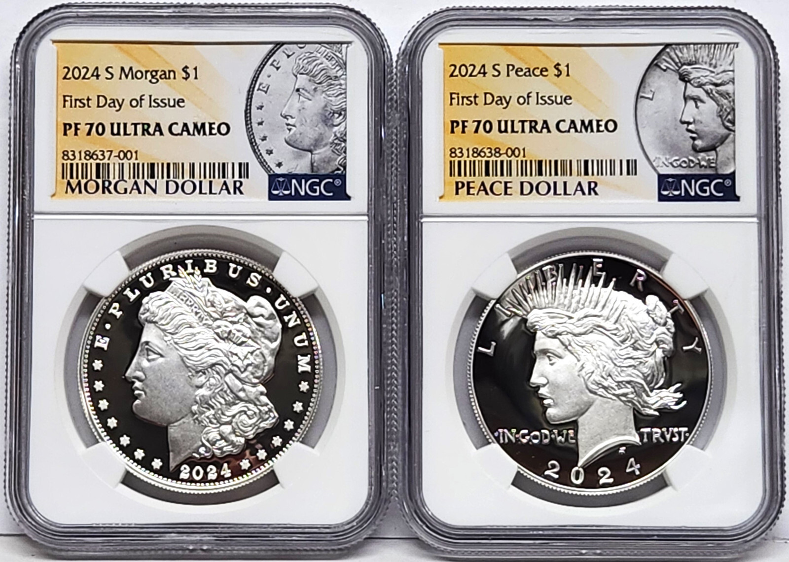 2 coin set 2024 morgan and peace proof | Grelly USA