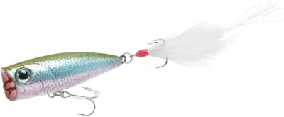 LUCKY CRAFT JAPAN Bevy Popper 50 - 1081 Plasma Wakasagi (1qy) ~JDM~ Top ...