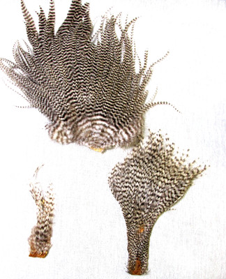 Grizzly? Dry Fly Hackle? Neck Cape? Rooster Fishing Feathers Trout ...
