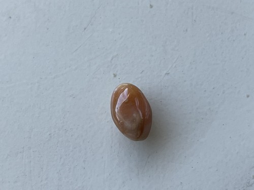 Natural Conch Pearl. Caribbean Pearl. Queen Conch Pearl | eBay