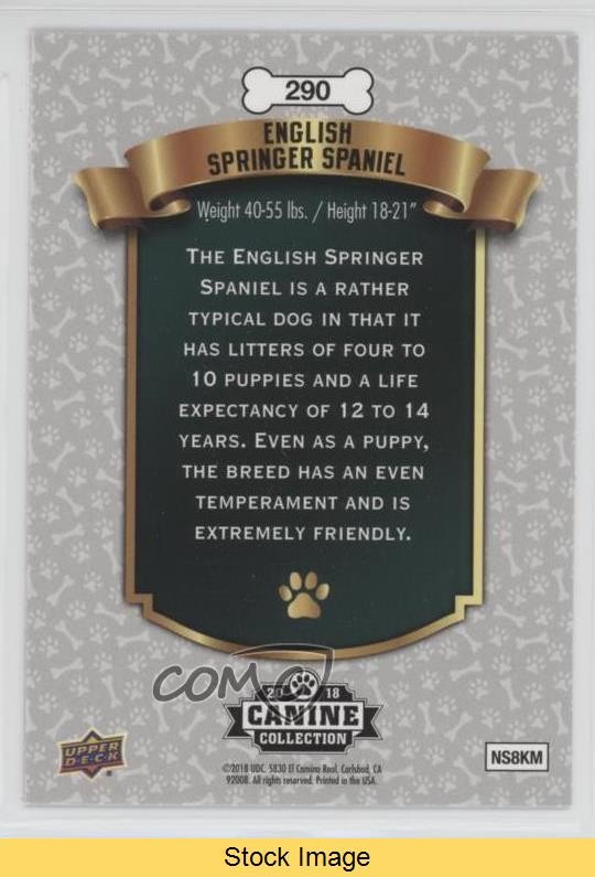 2018 Canine Collection Puppy Variant English Springer Spaniel #290 READ ...