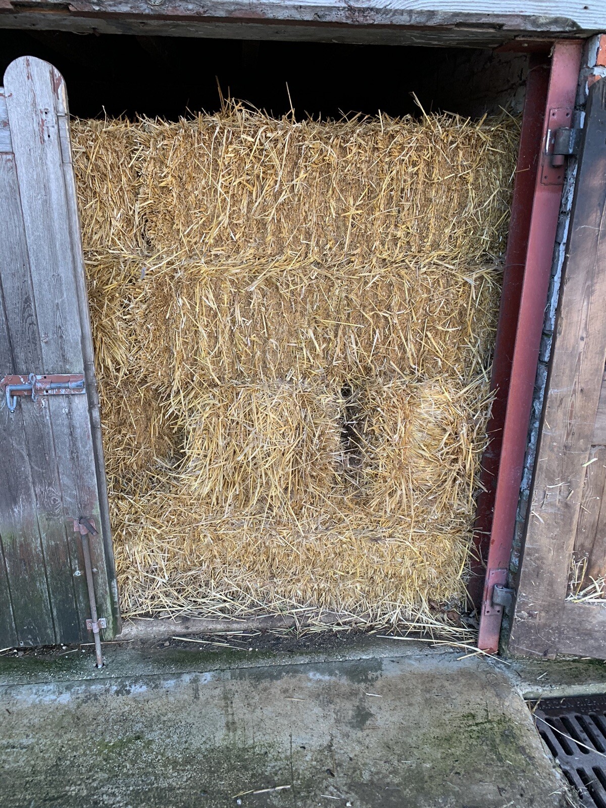 Barley Straw Conventional Bales Equestrian Small Animal | eBay UK