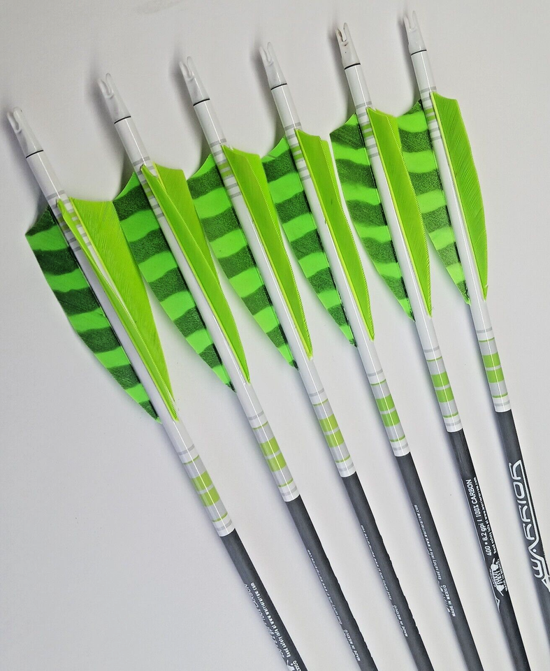 Goldtip warriors arrows for Traditional archery | eBay