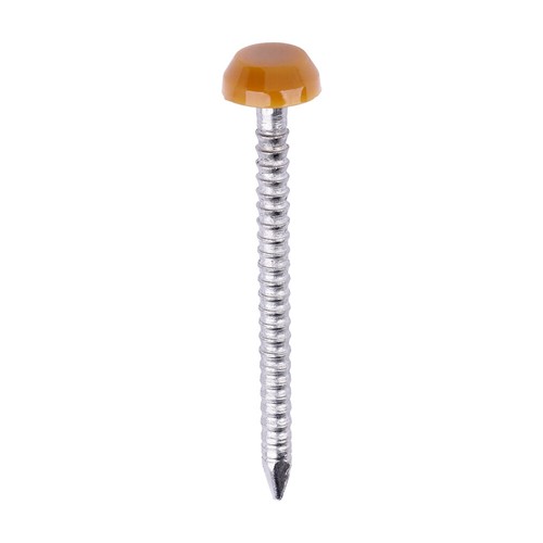 UPVC Poly Top Pins Nails Plastic Headed Fascia Fixings 25-40mm All ...