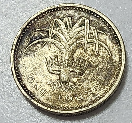 UNITED KINGDOM 🇬🇧 ONE POUND COIN 1985 (QUEEN ELIZABETH II ...