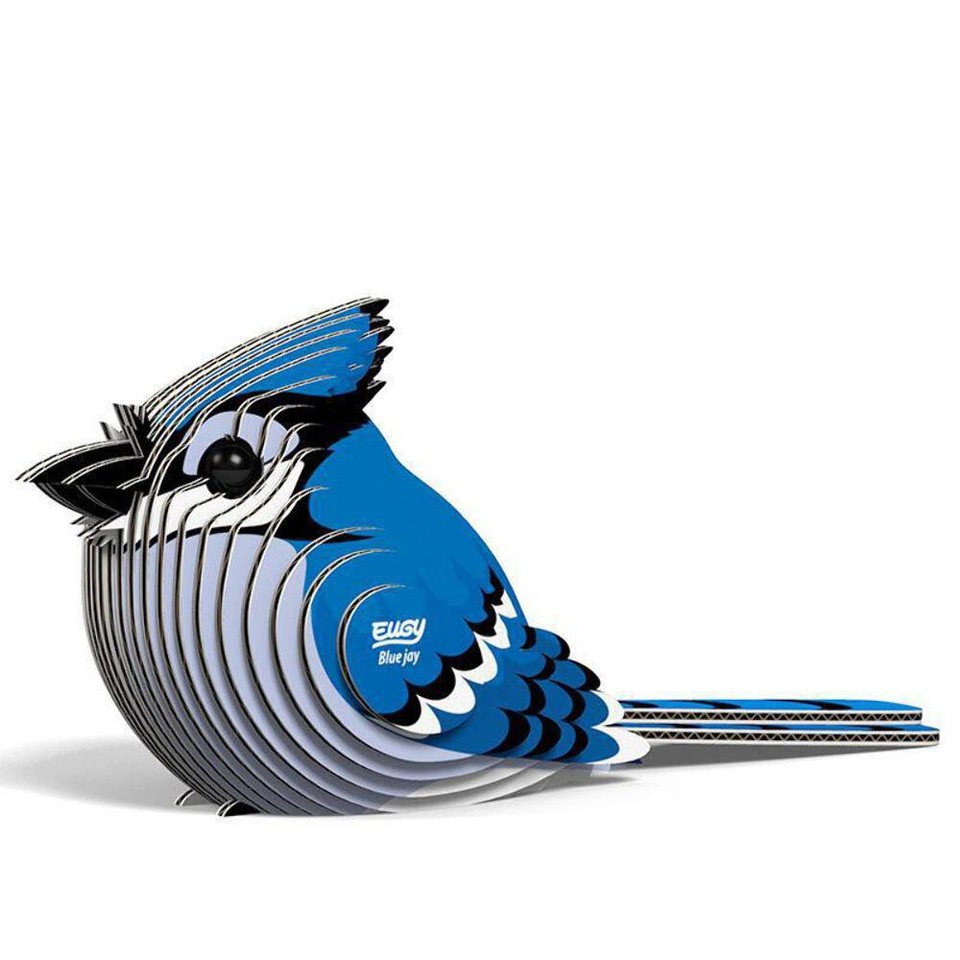 Blue Jay 3D Cardboard Model Kit Eugy | eBay
