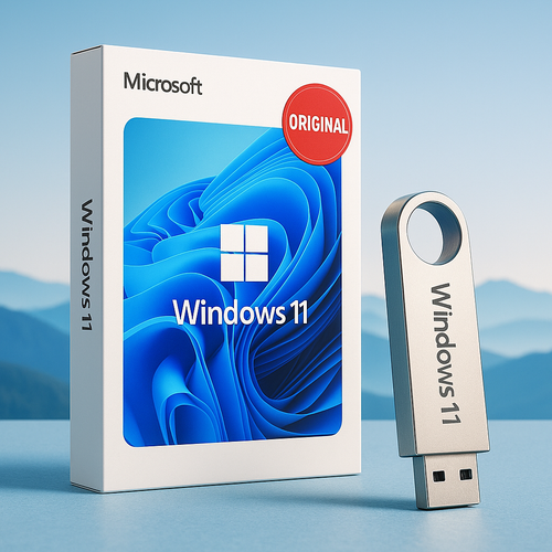Windows 11 Installations USB Stick | Windows 11 Pro Key | eBay.de