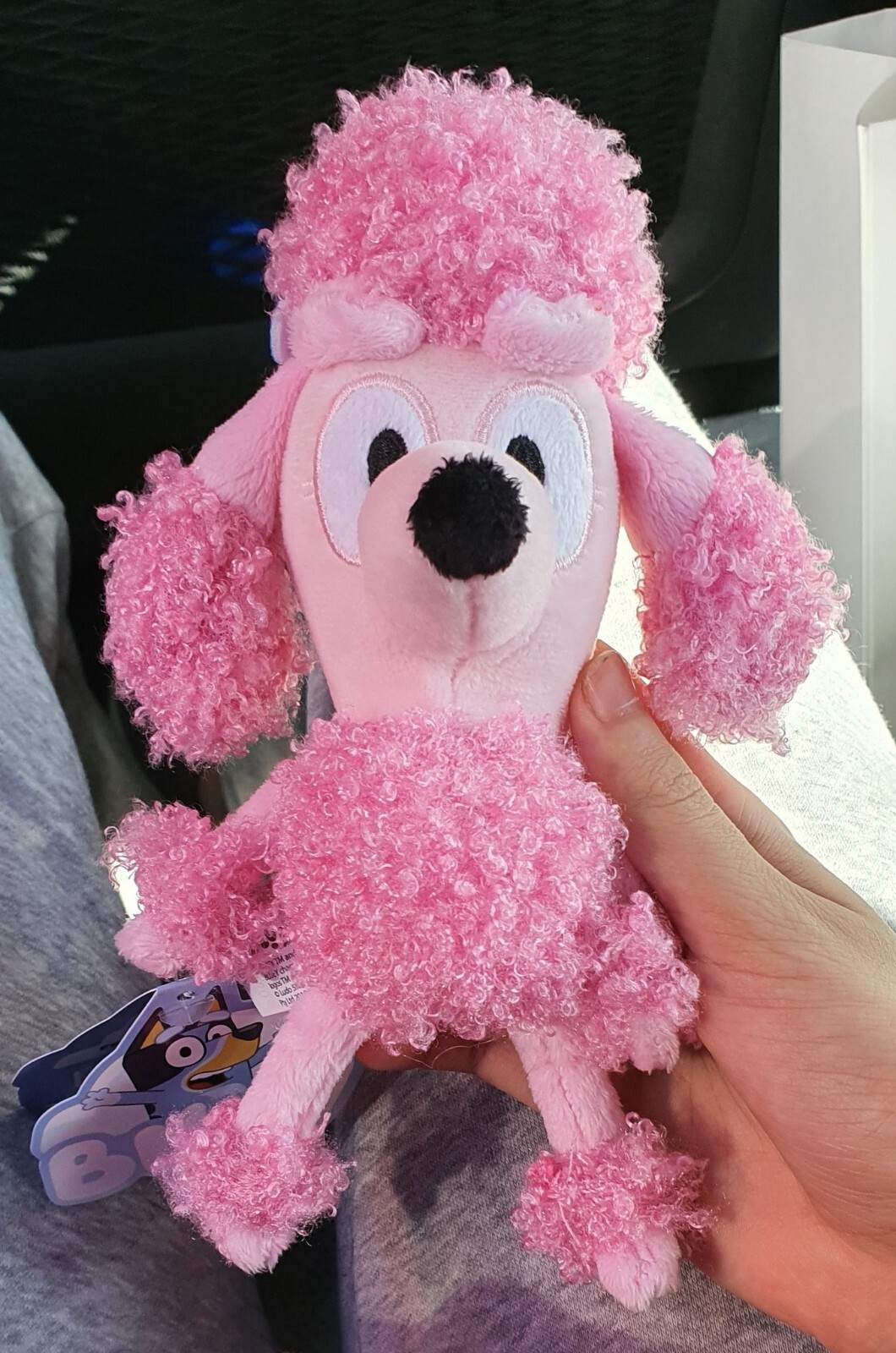 Bluey Friends Coco Plush Toy Moose Toys | NWT | eBay