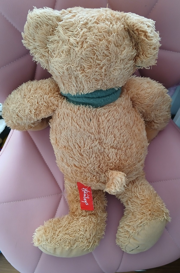 Hamleys Toy Shop Cute Teddy Bear Seeks New Home Green Scarf Soft Toy ...