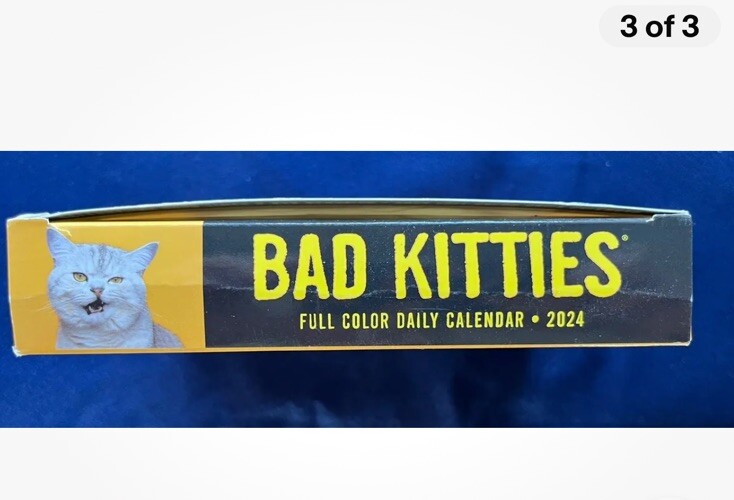 Bad Kitties 2024 6. 2 X 5. 4 Box Calendar by Willow Creek Press (2023 ...