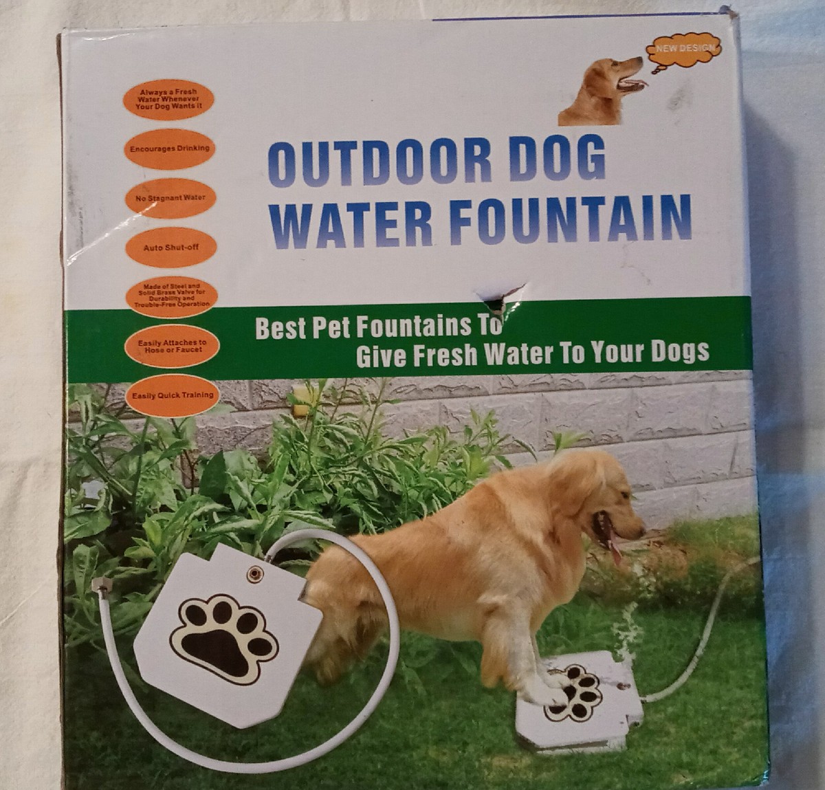 Outdoor Dog Water Stations