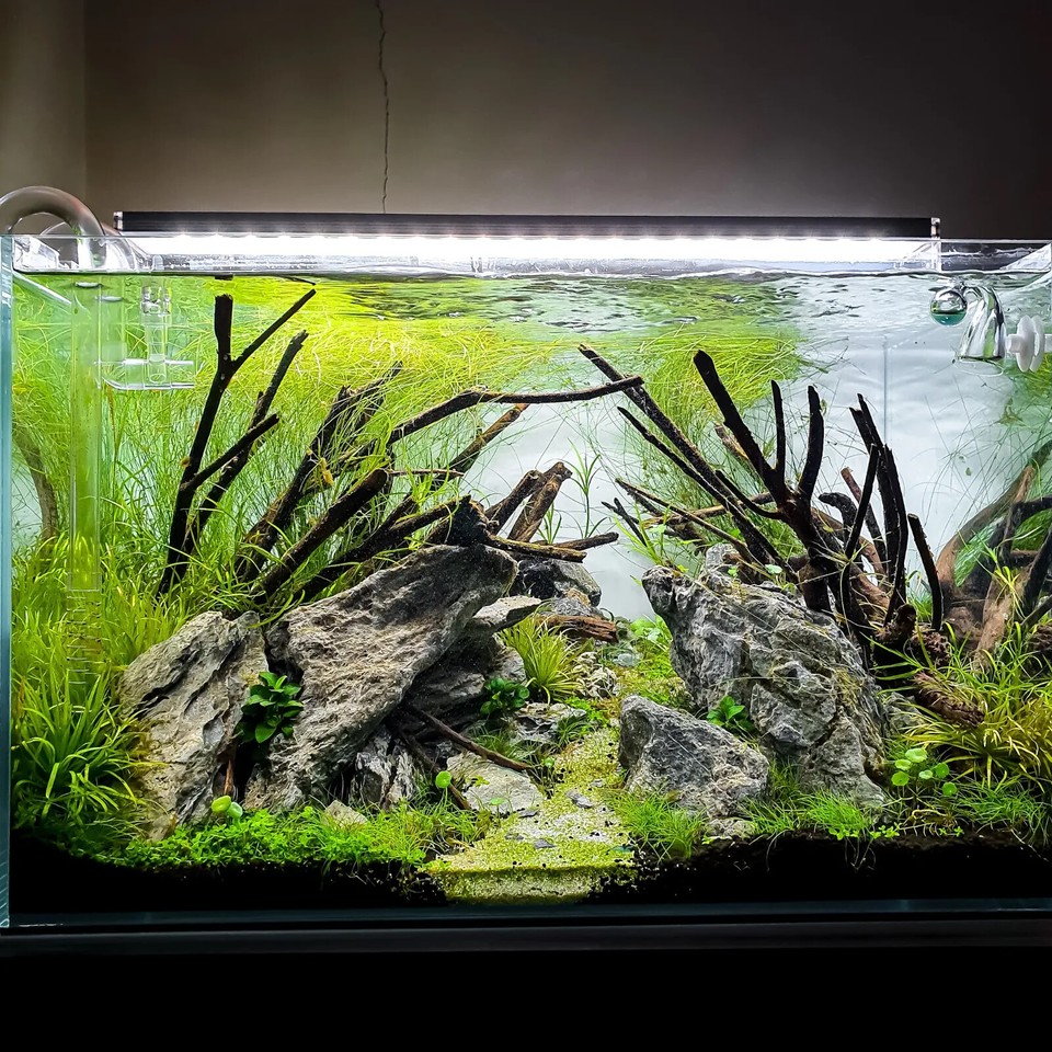 Aquarium Stone Seiryu Rock Natural Fish Tank Aquascape Decoration GREY ...