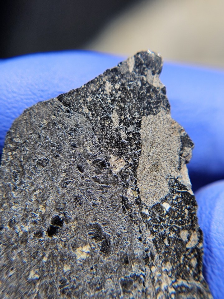 Meteorite**NWA 16349, Lunar Mare Basalt/Gabbro Breccia**12.184 grams ...