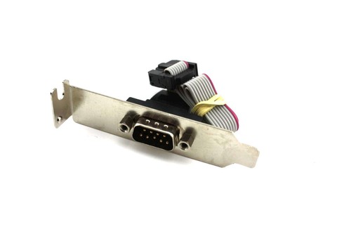 StarTech PLATE9MLP Cable Low Profile 9-Pin Serial to 10-Pin Header Slot ...