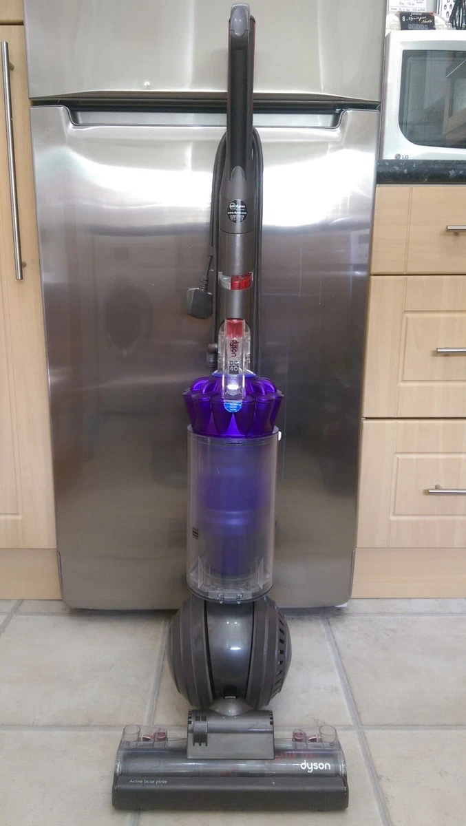Dyson Dc40 Animal