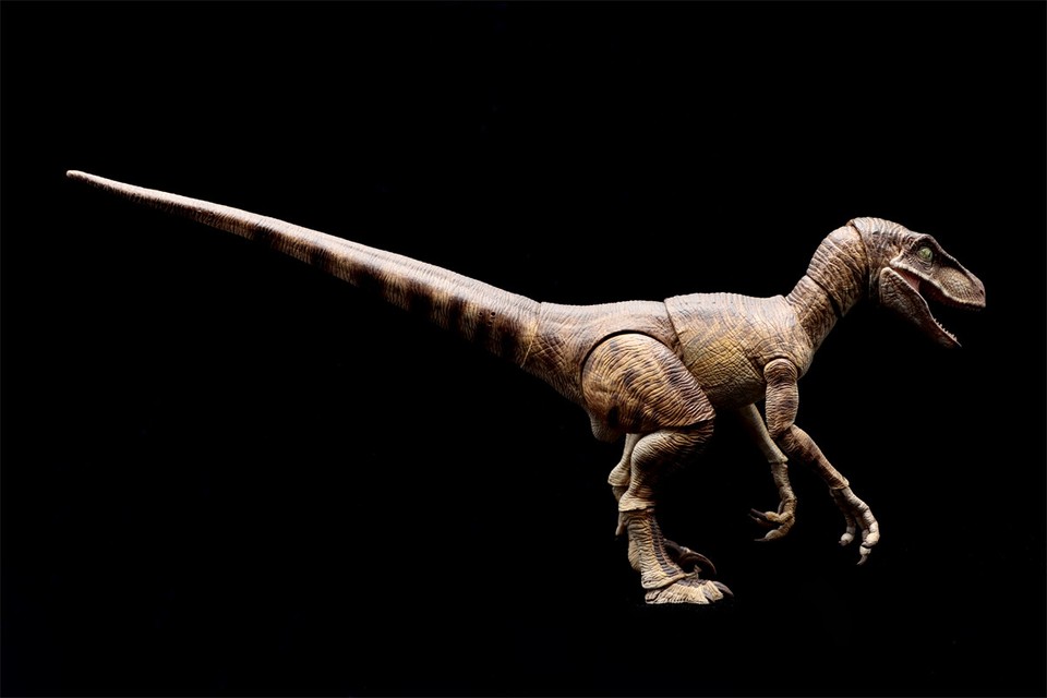 Nanmu 1/12 Smart Series Raptor 2.5 Action Figure Collections Dinosaur ...