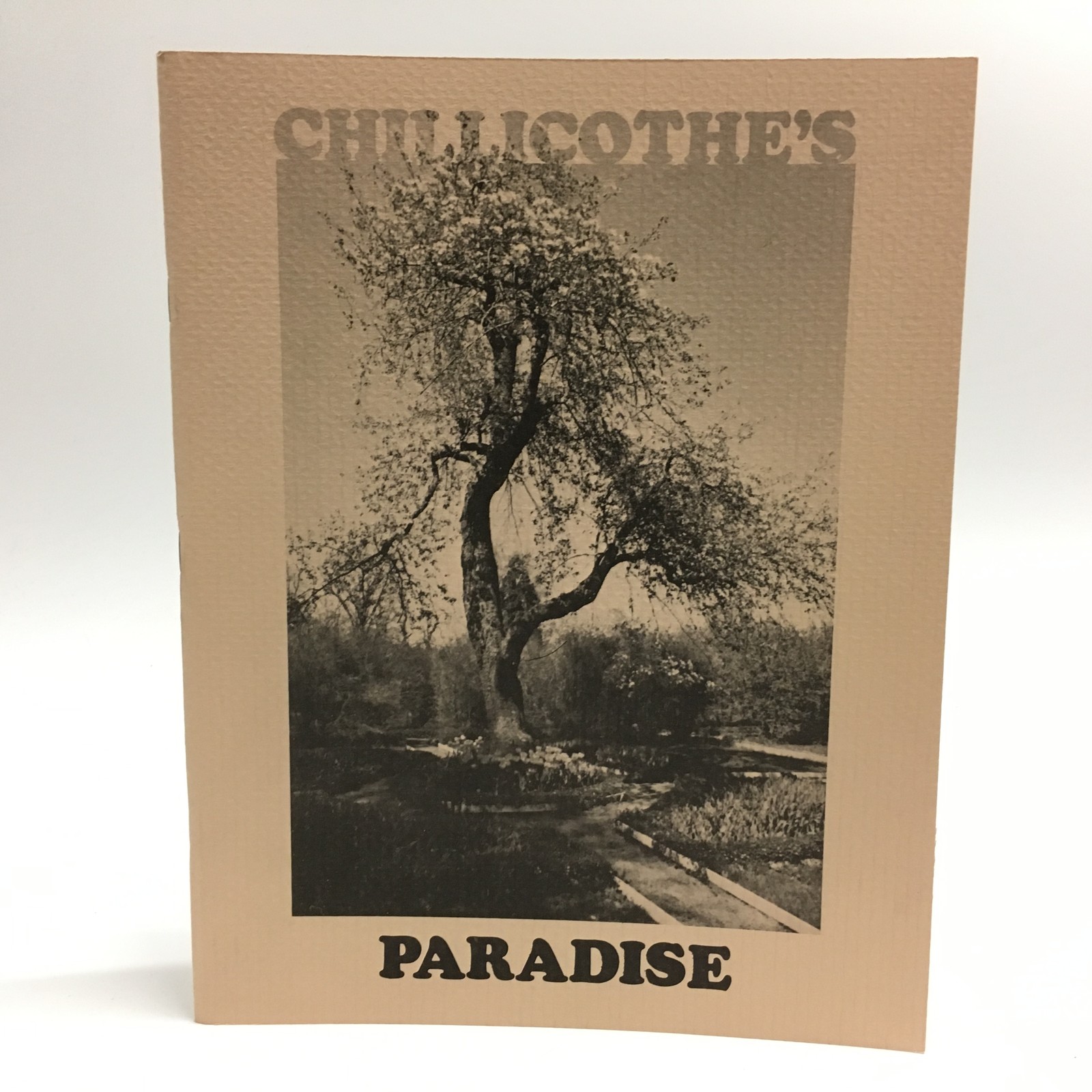 Chillicothe's Paradise By Deborah Bogan OHIO 1978 | eBay