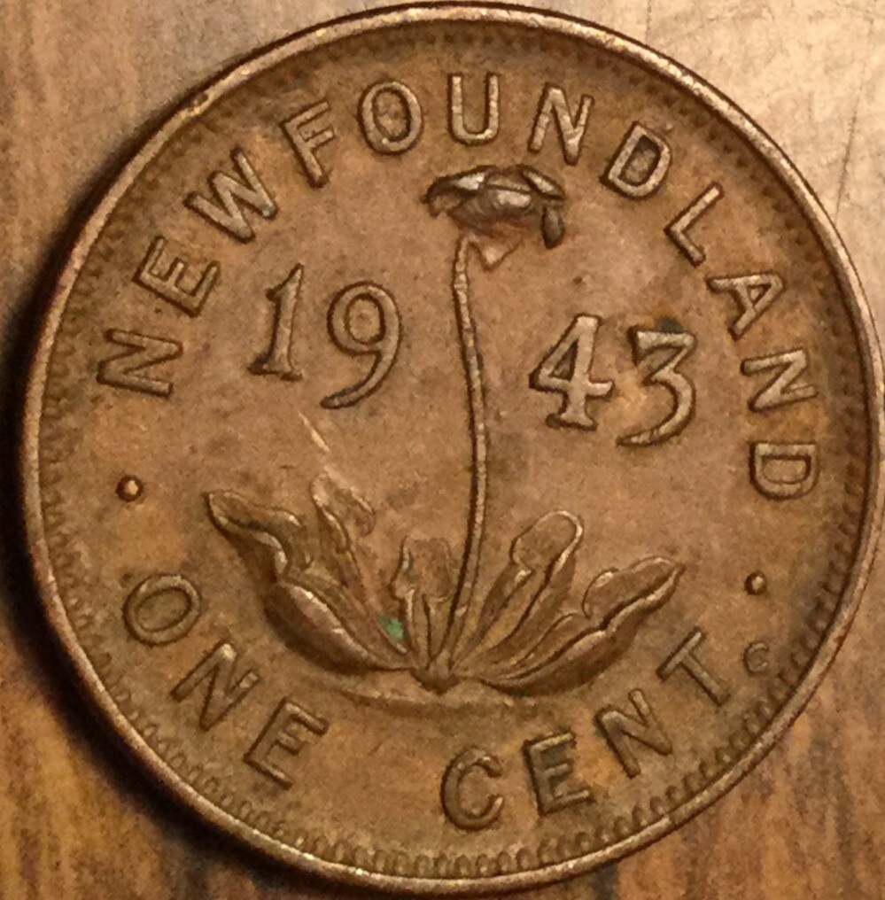 Newfoundland and Labrador coins for collectors and other buyers ...