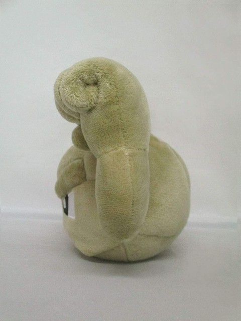 Sanei Pokemon All Star Collection PP137 Geodude 6" Stuffed Plush for ...