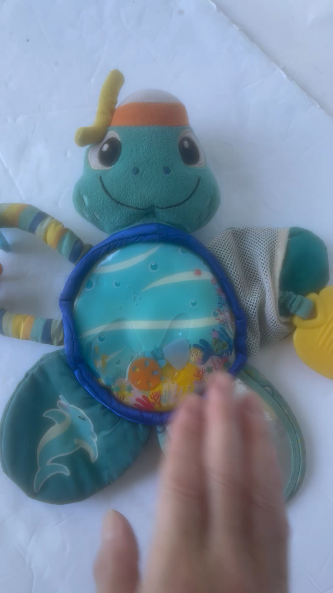 Baby Einstein Turtle Birthday Party