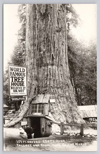 Piercy California, World Famous Tallest Tree House, Vtg RPPC Real Photo ...