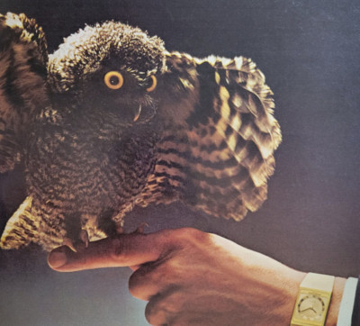 Spooky Owl Movado Watches Tourneau Halloween 1979 New Yorker PRINT AD ...