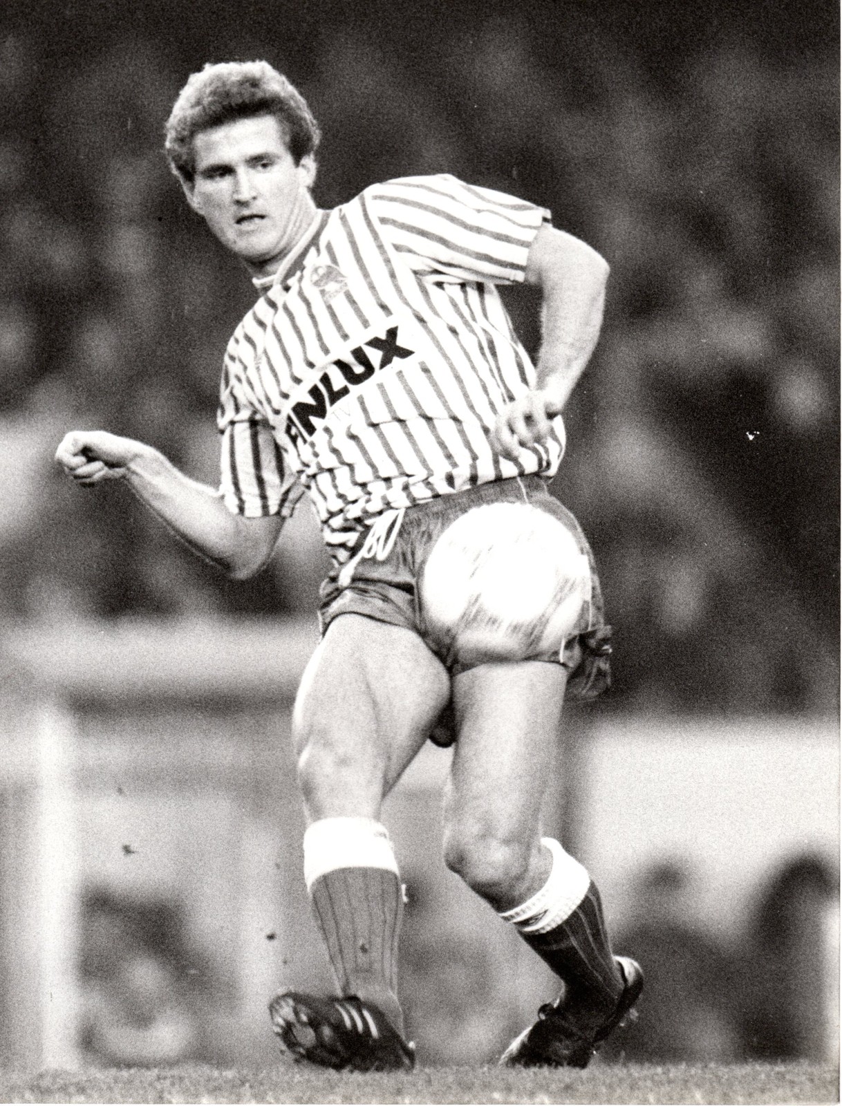 Original Press Photo Sheffield Wednesday Mark Procter 1987 | eBay