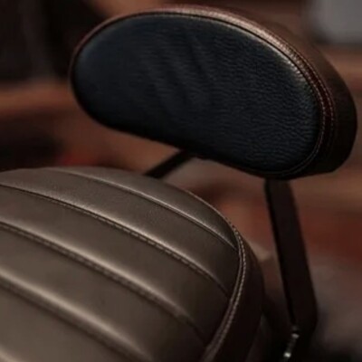 Backrest for TRIUMPH SPEED 400 | eBay