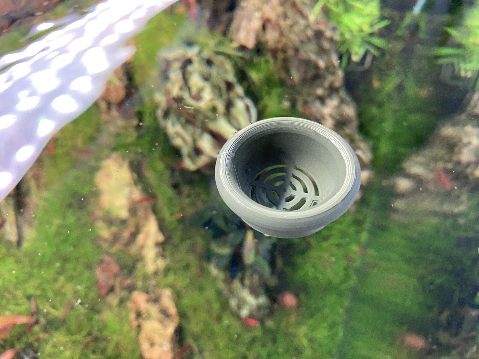 FLOATING Fish Feeder Aquarium Fish Tank Bloodworm Brine Shrimp Frozen ...