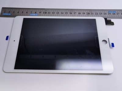LCD Dalla Schermo APPLE iPAD Mini 5 A2133 Bianco | eBay
