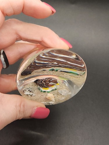 Vintage Unique Canadian Acrylic/Lucite Paperweight w/ Hawk | eBay