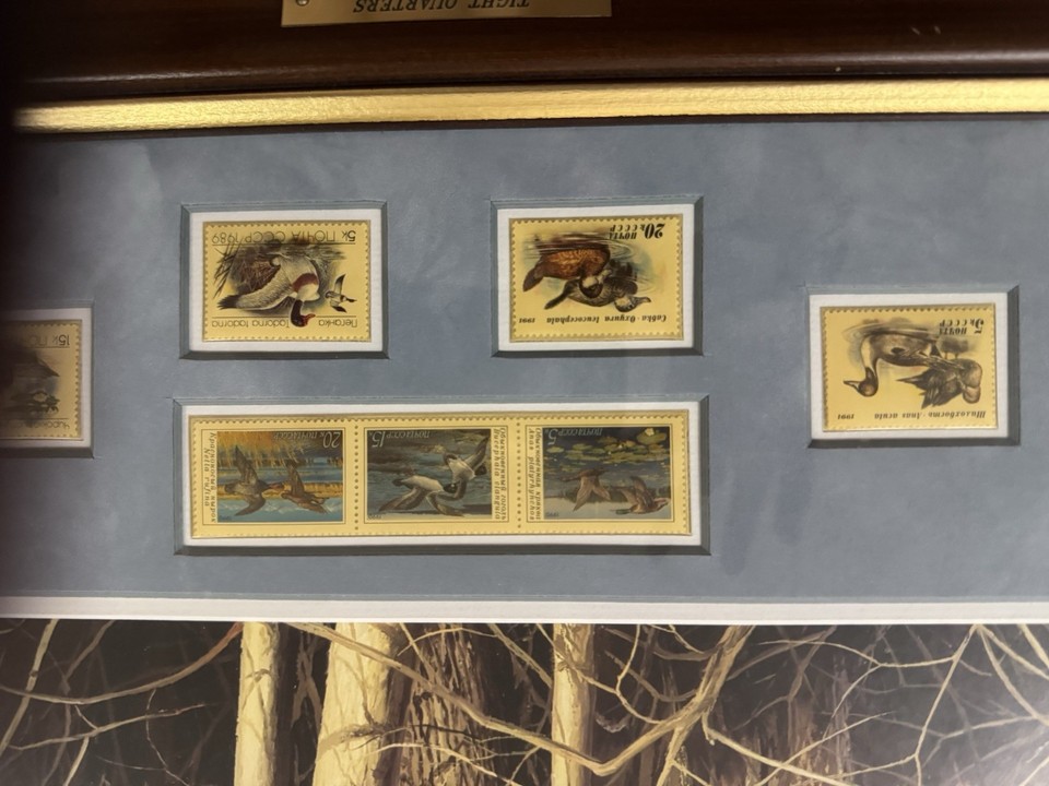 Tight Quarters” by David Maass – Signed Wildlife Print Framed 22.75” x ...