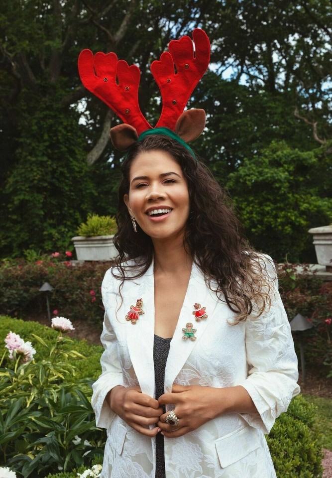 Heidi Daus Gingerly Gorgeous Gingerbread Woman Enamel and Crystal Pin ...