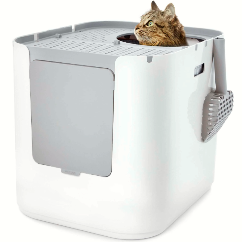 Modkat XL Litter Box - White - Brand New + Free Shipping | eBay
