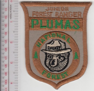 Smokey the Bear US Forest Service Junior Forest Ranger Badge Plumas ...