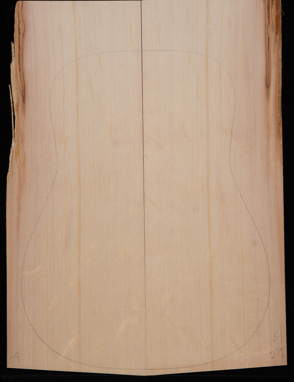 Sitka Spruce #279 Guitar Topwood Dred Size Luthier Tonewood bear claw ...