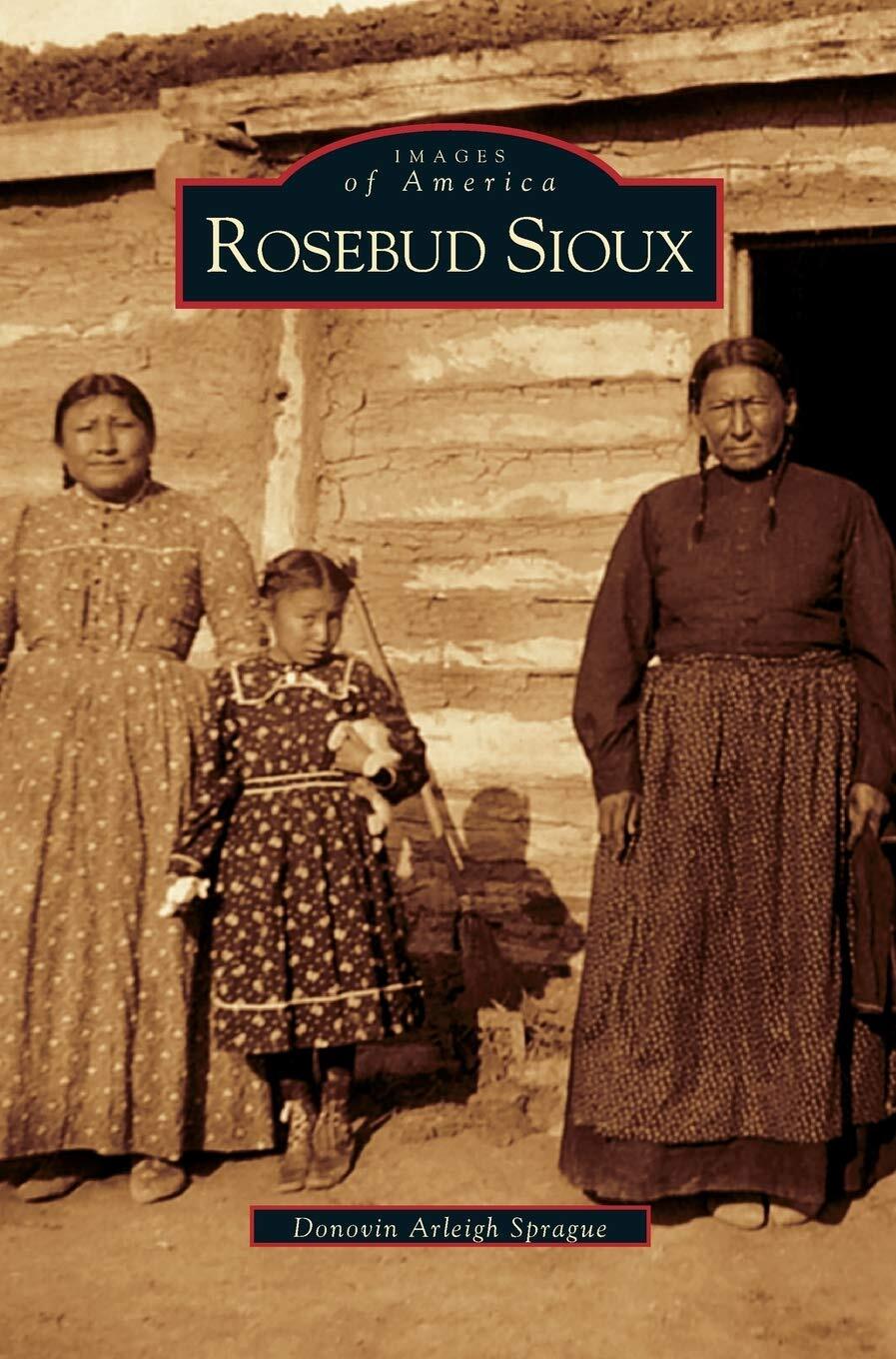 Donovin Arleigh Sprague Rosebud Sioux (Hardback) 9781531619893 | eBay