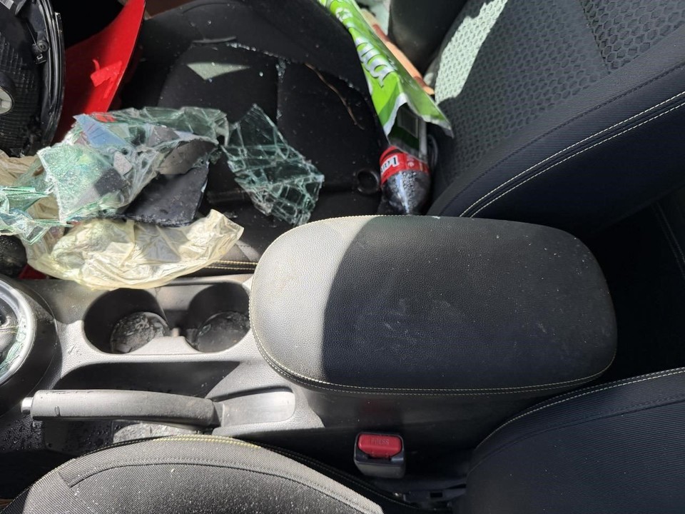 Passenger Rear Side Door Privacy Tint Glass Fits 14-19 SOUL 104930604 ...