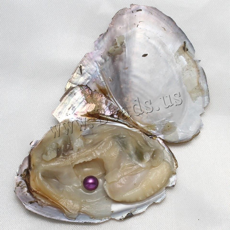 10pcs Akoya Pearl Oysters Real Pearl 7-8mm Freshwater Pearl Holiday ...