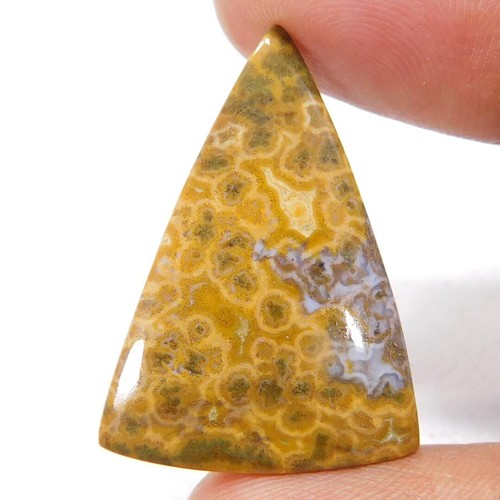 24.20Cts. Natural Untreated Unique Ocean Jasper Triangle Cabochon Loose ...