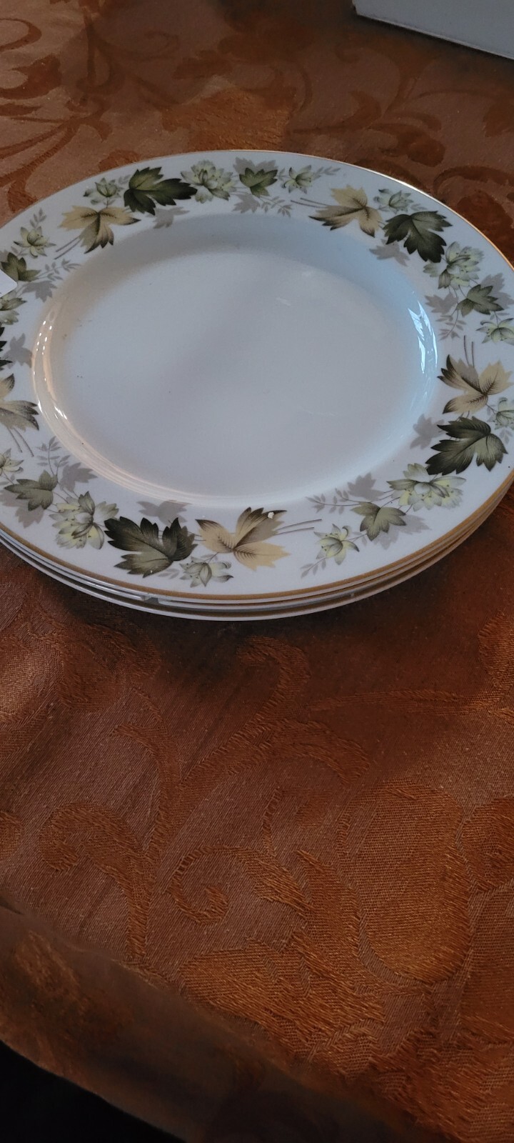 Royal Doulton Larchmont Pattern English Translucent China 10 1/2 Plate ...