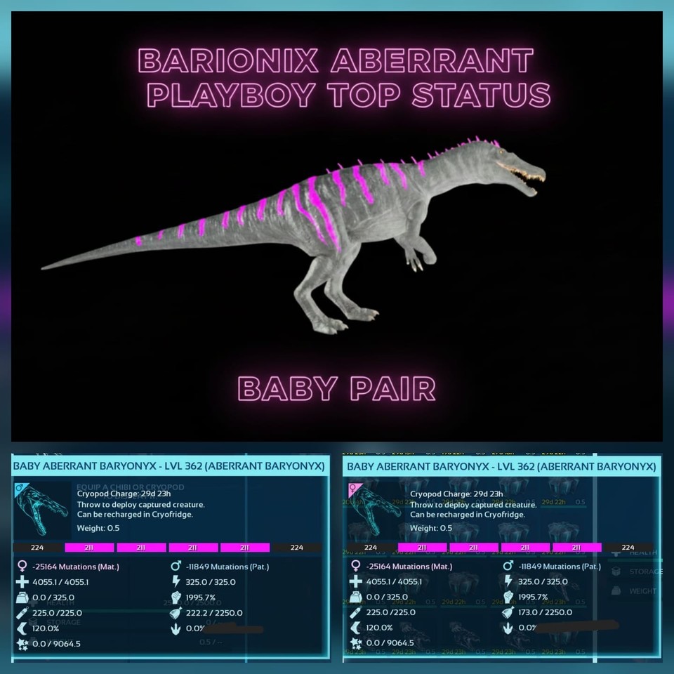 Ark Asa Pve Official Pair Baies Barionix Top Ststus | eBay