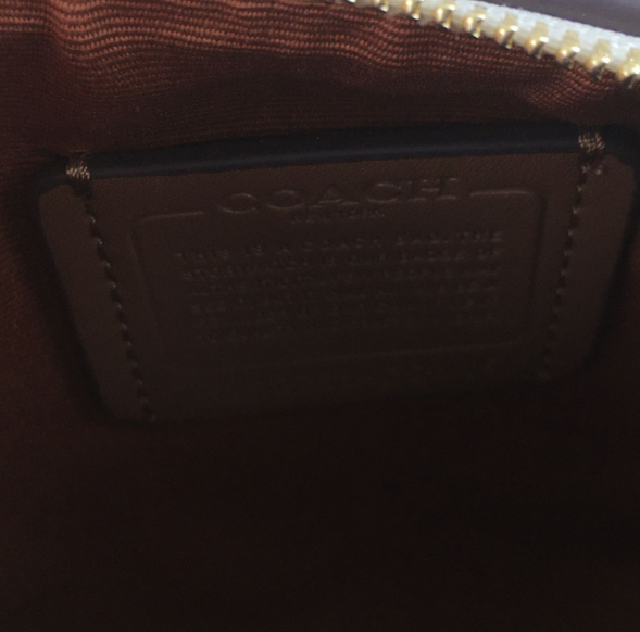 COACH Rowan MINI XS Dancing Kitten Cat Crossbody Bag Outlet | eBay