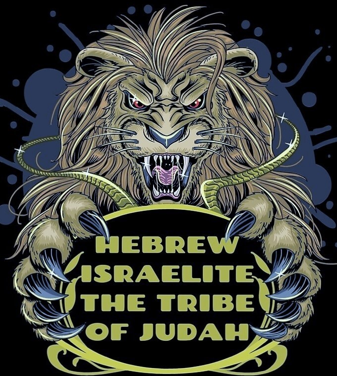 Hebraic Roots bible A Literal Translation HRB. | eBay